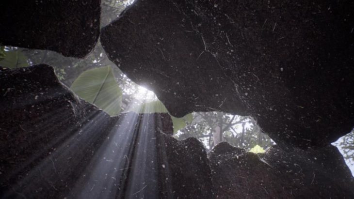 VR for Impact: inside Tree | VIVE Blog